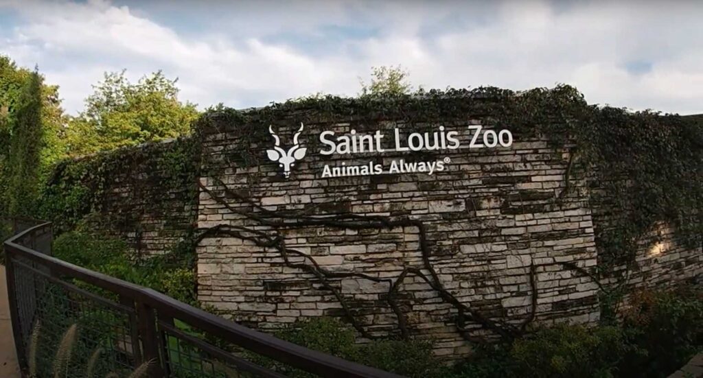 Saint Louis Zoo - Online Animal Kingdom